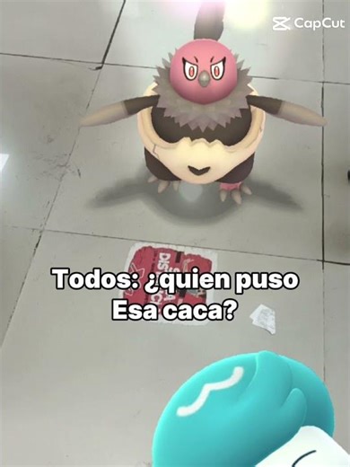 Gracias por acampar en campamentos kleeer