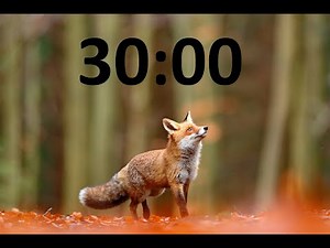 30 minutes Autumn fall Timer with music