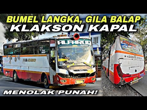 Bumel Langka & Gila Balap 🔥 Klakson Kapal Menolak Punah ❗️| trip USAHA JAYA GROUP “ Alfaruq Reborn “