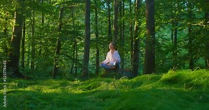Unity with nature. Serenity and contemplation. World mental health day. Woman meditate on stump in heart of forest. Young female enjoying sounds of woodland. Breathing exercises, respiratory system.