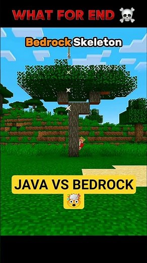 JAVA VS BEDROCK SKELETON IN MINECRAFT ☠️ #minecraft #minecraftshorts #bedrock #skeleton #shorts