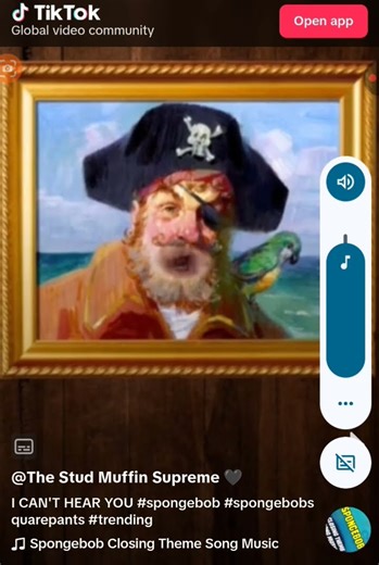 I CAN'T HEAR YOU SpongeBob SquarePants