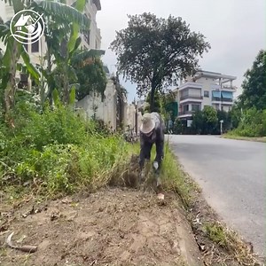 62K views · 1.3K reactions | NOBODY Beautiful Sidewalk Buried Under Grass Cleaned Up Dramatic Transformation #abandoned #lawn #cleanup #cleaningmotivation #clean #overgrown #transformation | Clean Up TV | Facebook