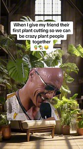 You’re Welcome 🪴🤭#plants #houseplants #indoorplants #plantsofig #instaplants #plantmom #plantfriends #plantparent #plantparenthood #funnymemes | Plant Me In The Dirt