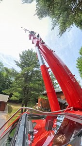 55 reactions | Need Large Trees Removed Safely and Efficiently? We...