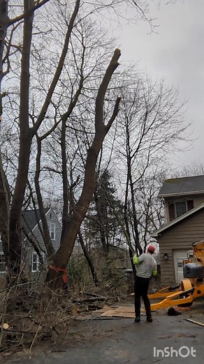Walking it back. #protreeserviceswny #husqvarna #buckingham #Hazard #trees #messy #treeservice #treeclimbing #lift #notchequipment Jose Espinoza Pro Tree Services | Pro Tree Services