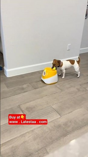 Automatic Dog Ball Thrower 🚀 Best Dog Ball Launcher | Smart Fetch Machine for Busy Owners