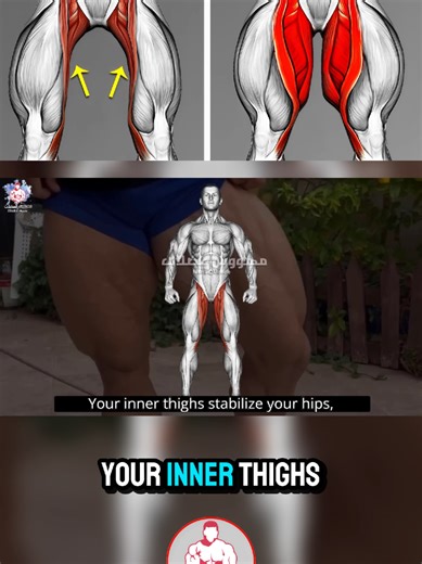 Get RIPPED Inner Thighs FAST with These Exercises 🔥 #innerthighs #thighsworkout #thighs #workout #exercise