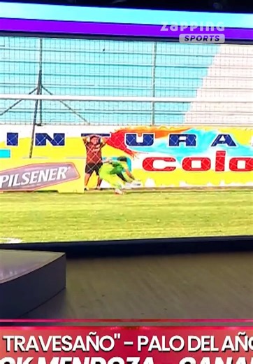 Señor Palo: El Héroe Inesperado de los Premios Zappiners