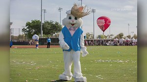 Arizona driver's license doesn't meet federal requirements