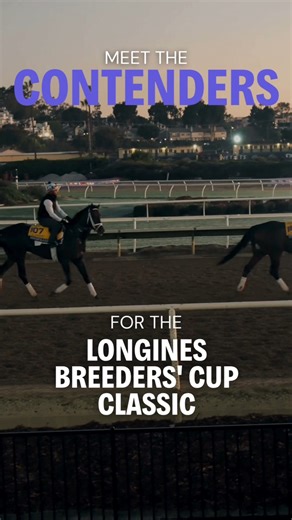 952 reactions · 146 shares | Your 2025 Longines #BreedersCup Classic field  Who's your pick? | Breeders' Cup World Championships | Facebook