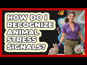 How Do I Recognize Animal Stress Signals? - Animal Care Jobs