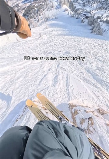 Blue sky powder day is unmatched #ski #skiing | Skiing