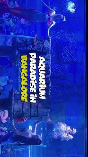 Must Visit😮❤️ #aquarium #aqueriumfish #bangalore #weekend #kidzone #trendingshorts