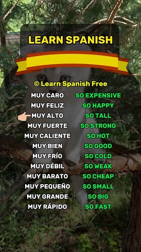 Learn Spanish Free Beginner in Spanish? Subscribe to level up fast! #spanishquiz #learnspanish #LearnSpanish #easyspanish #spanishlessons | Learn Spanish