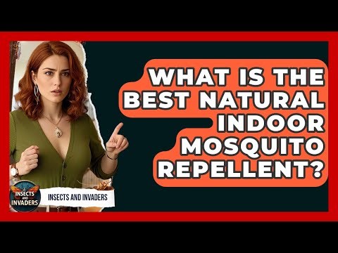 What Is The Best Natural Indoor Mosquito Repellent? - Insects and Invaders