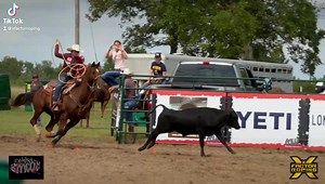 14K views · 251 reactions | Mary Beth Beam dominated the 2021 Mike White's Annual Pasture Roping Breakaway! She walked away with winning first and third in the average as well as Short-Go fast time!  The livestream recording of this roping is still free to watch for a limited time  xftr.net/mw21  Mike White #xfactorroping #breakaway #watchlearnwin #cowgirl | X Factor Roping | Facebook