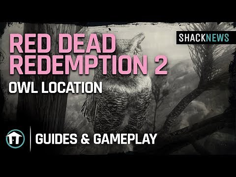 Red Dead Redemption 2 - Where to Find an Owl