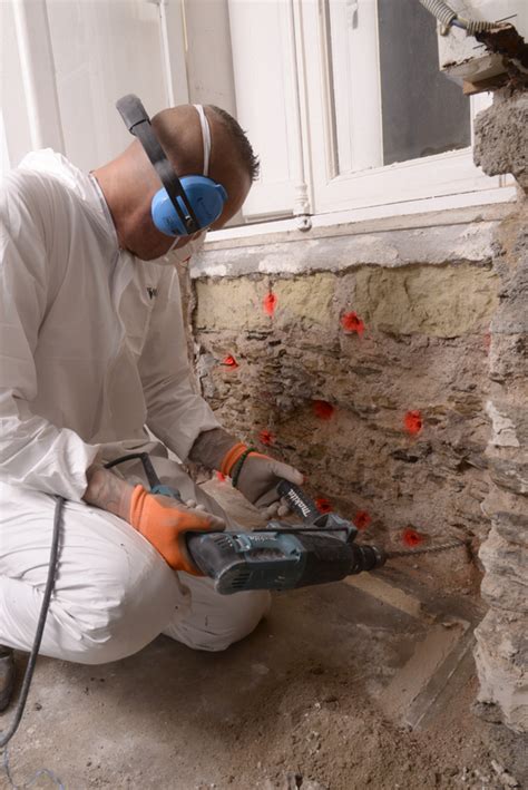 Traitement Du Salp Tre Et Des Moisissures O C P C