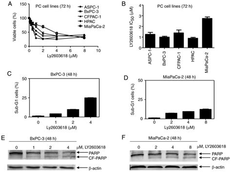 CHK1 Inhibition Sensitizes Pancreatic Cancer Cells To Gemcitabine Via