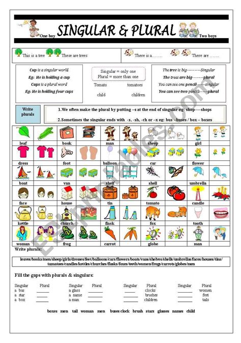 Singular Plural ESL Worksheet By Jhansi