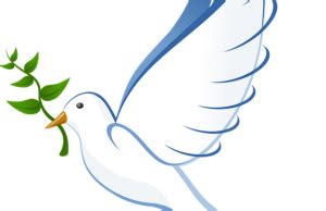 Por qué la paloma de la paz lleva una rama de olivo PACIFISTA