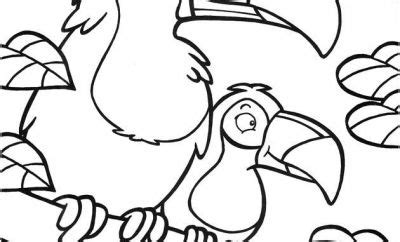 12 Lunatique Coloriage Perroquet Photos COLORIAGE