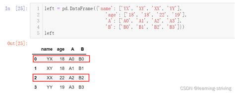 pandas中ncat data axis 1 数据合并与pd merge left right how on 的内连接、左连接、右连接和外连接代码演示 ncat