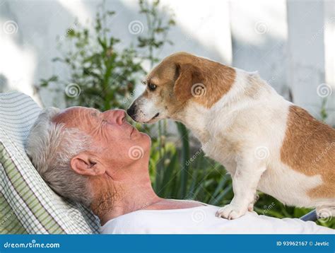 Vieil Homme Et Baisers Mignons De Chien Image Stock Image Du