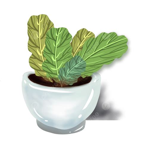 Plantas En Macetas Png Plantas Verdes Planta Material Vegetal Verde