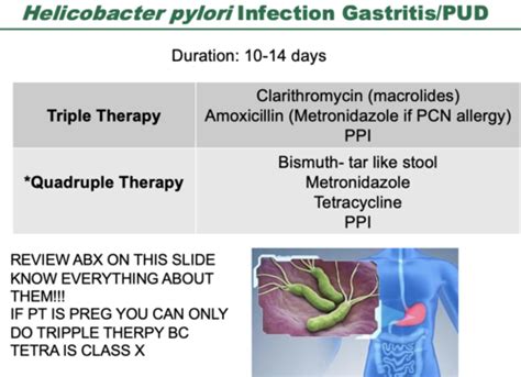 Gerd Pud Pharmacotherapy Flashcards Quizlet