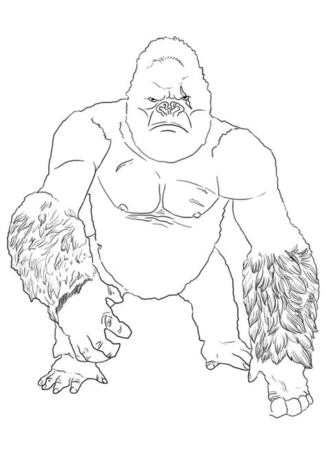 Gorilla Ausmalbilder Malvorlagen 100 KOSTENLOS