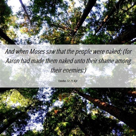 Exodus 32 25 KJV Bible Verse Images