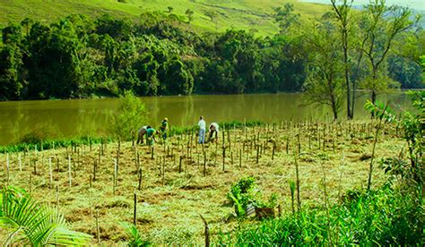 Plano de Recuperação de Áreas Degradadas Consultoria Ambiental