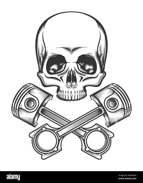 Human Skull And Crossed Engine Pistons Isolated On White Vector