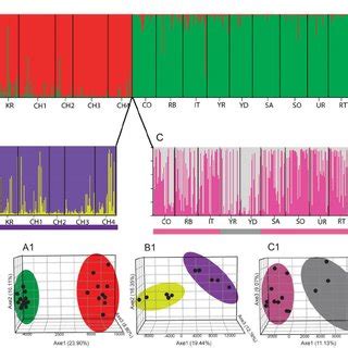 Phylogenetic Analyses Of Limnoperna Fortunei Bayesian Inference Tree