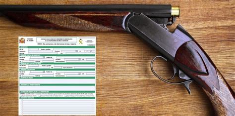 Duración del proceso de renovación del permiso de armas en España