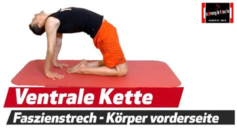 Faszien Stretching Routine Wirbelsäule aufrichten Haltung verbessern