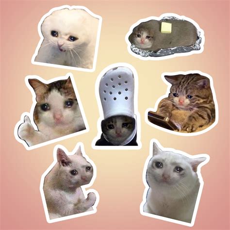 Móvil Mil millones solar stickers de gatitos llorando instalaciones