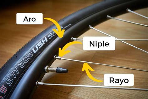 Partes De La Rueda Trasera De Una Bicicleta Consejos Bicicletas