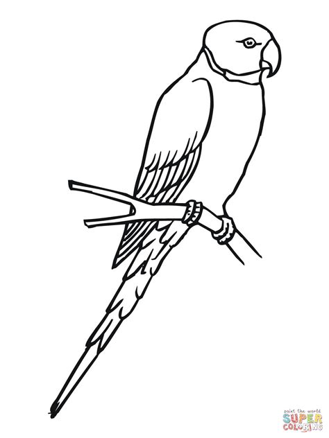 Dibujo De Un Periquito Para Colorear Dibujos Para Colorear Imprimir