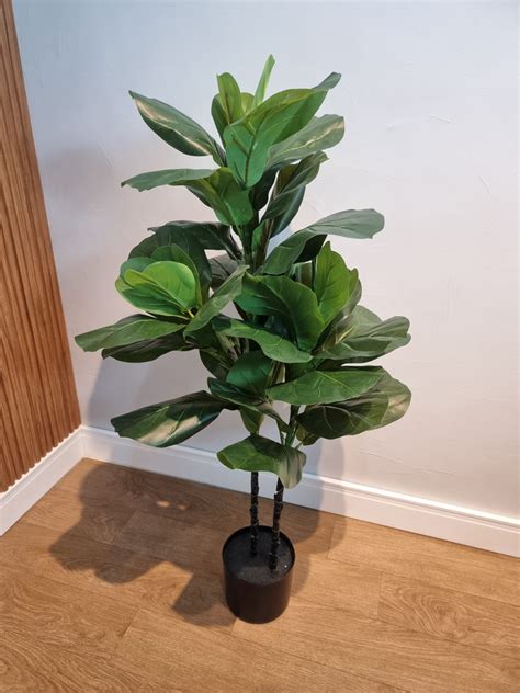 Planta Artificial Árvore Ficus Lyrata Real Toque X42 1m Florescer
