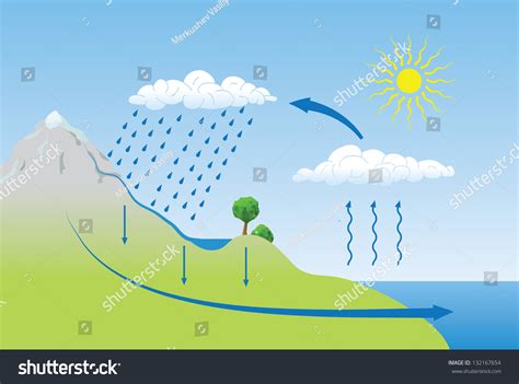 Vector Schematic Representation Water Cycle Nature Stock Vector
