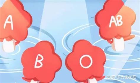 A B Ab O