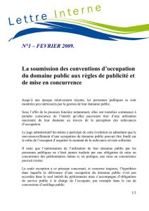 Demande D Autorisation D Occupation Temporaire Du Domaine Public
