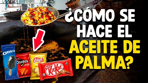 Cómo Se Hace El ACEITE De PALMA Proceso Completo YouTube
