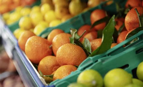 Sprzedaż hurtowa i detaliczna warzyw i owoców Marpol Fruit