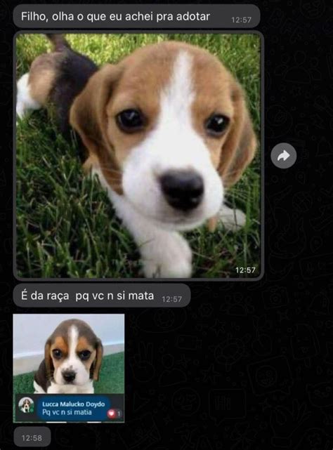 Pin de Laura Evelyn em KSKSKSKS em 2023 Memes engraçados Memes