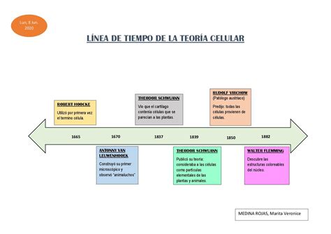 Linea Del Tiempo De La Teoria Celular Compartir Celular Porn Sex Picture
