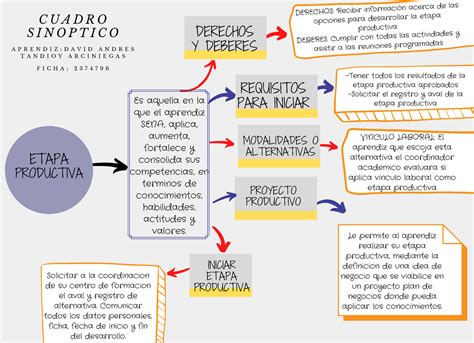 Cuadro Sinoptico Es Aquella En La Que El Aprendiz Sena Aplica